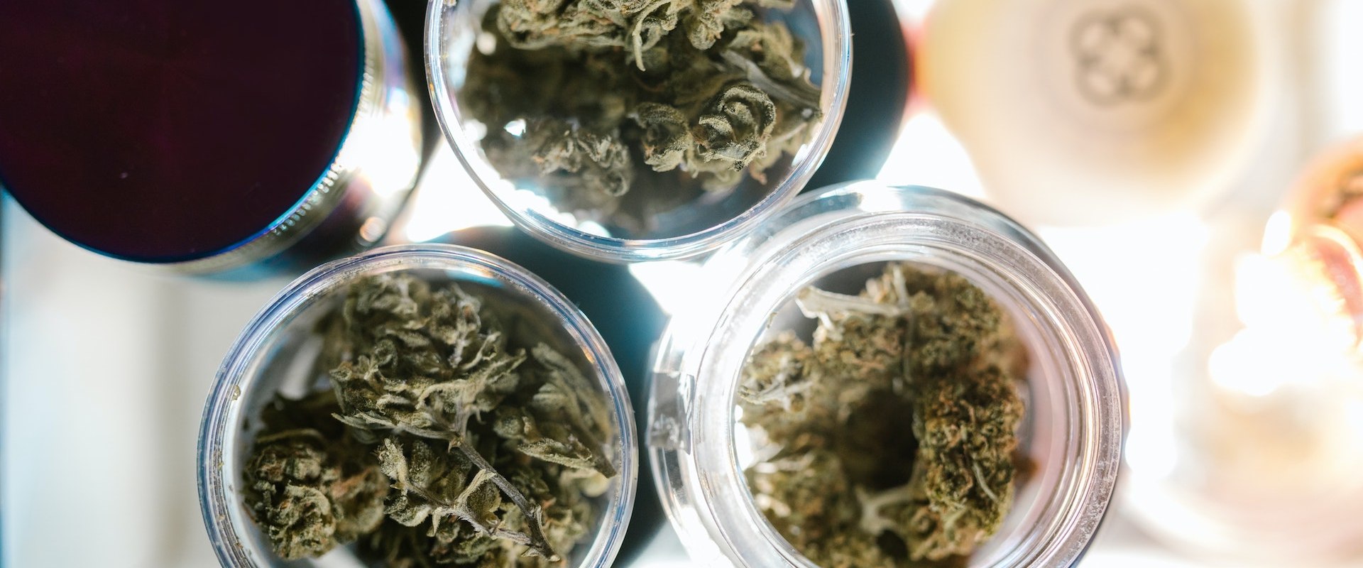 How does hhc work in the body?