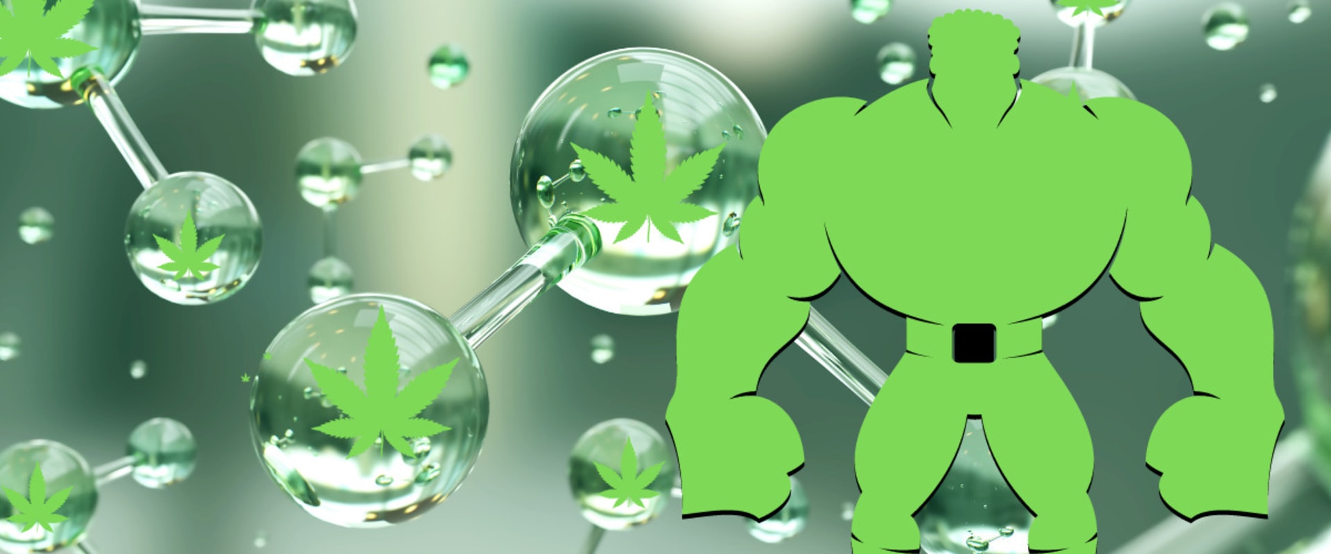 How does hhc (hexahydrocannabinol) interact with other drugs?